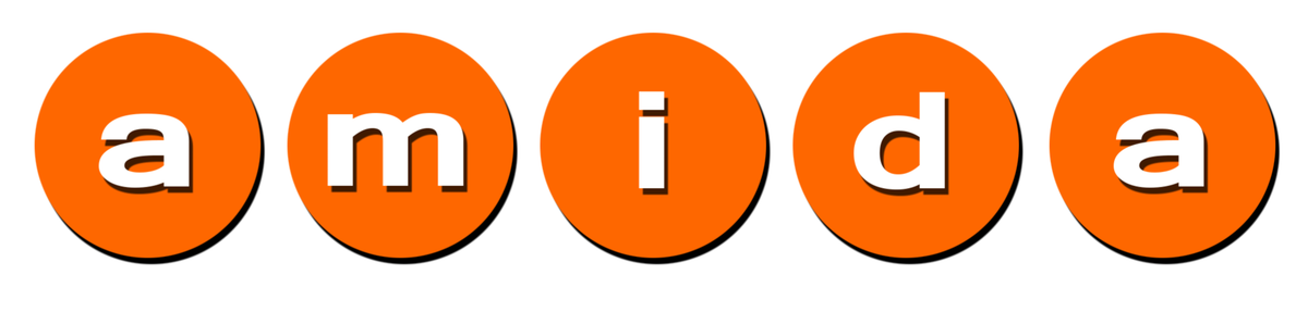 Amida Fire & Safety Systems